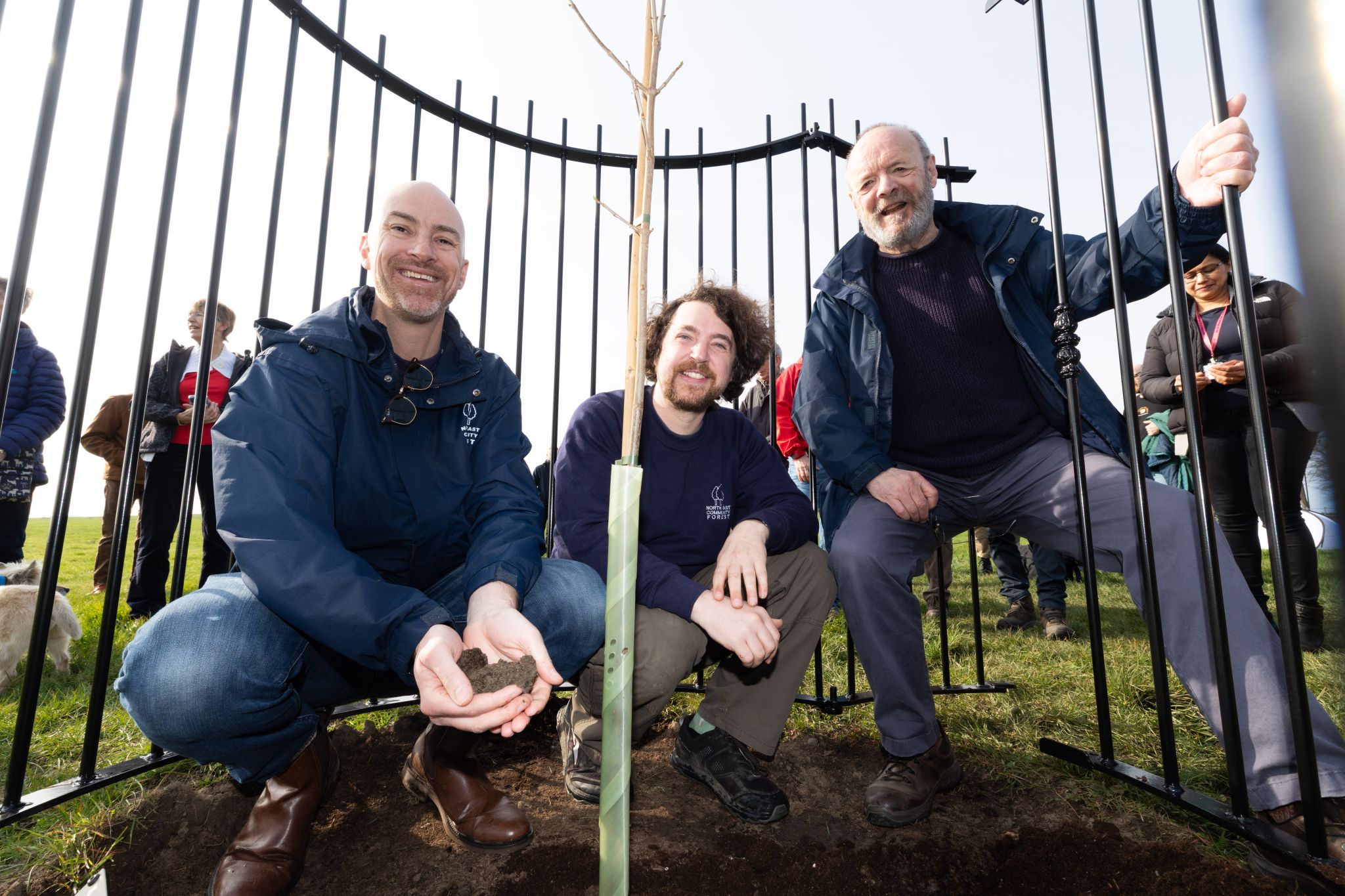 10 million trees planted by communities across England with government ...